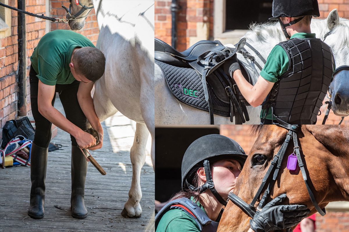 Taster Days | Try Before You Apply | Doncaster Equine College