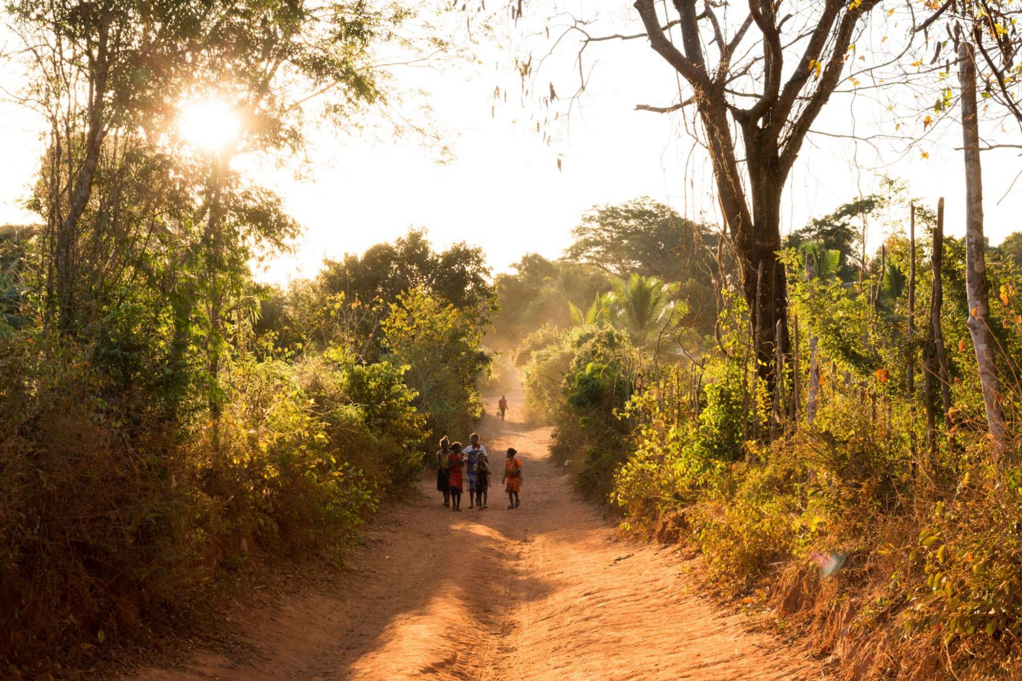 Operation Wallacea | The Different Types of Forest