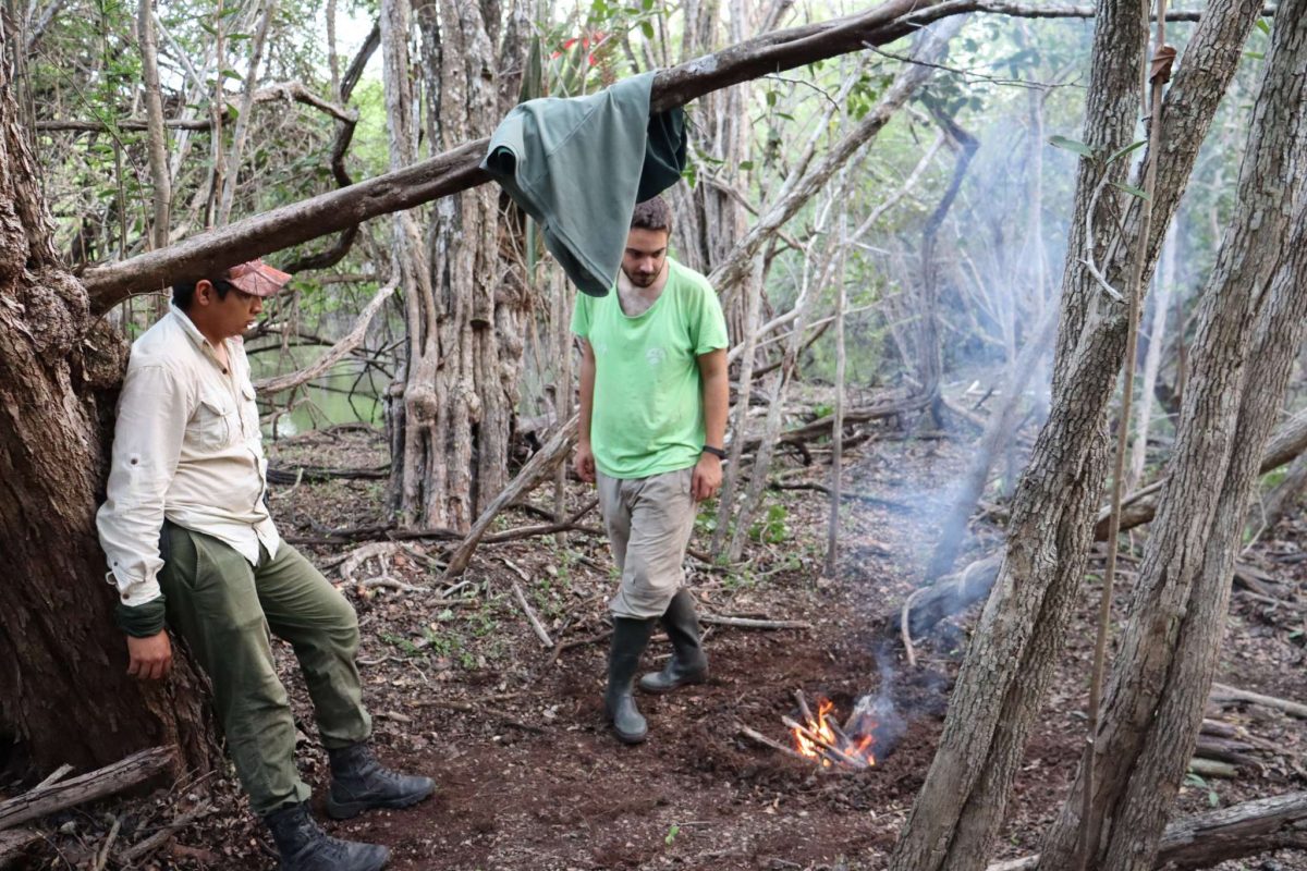 Operation Wallacea | Croc Adventures at KM25 (Mexico)!