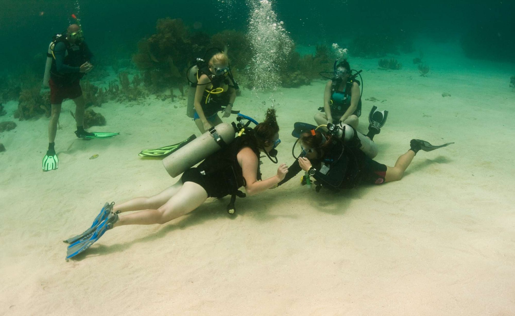 A Complete Guide to Your Open Water Course | Operation Wallacea