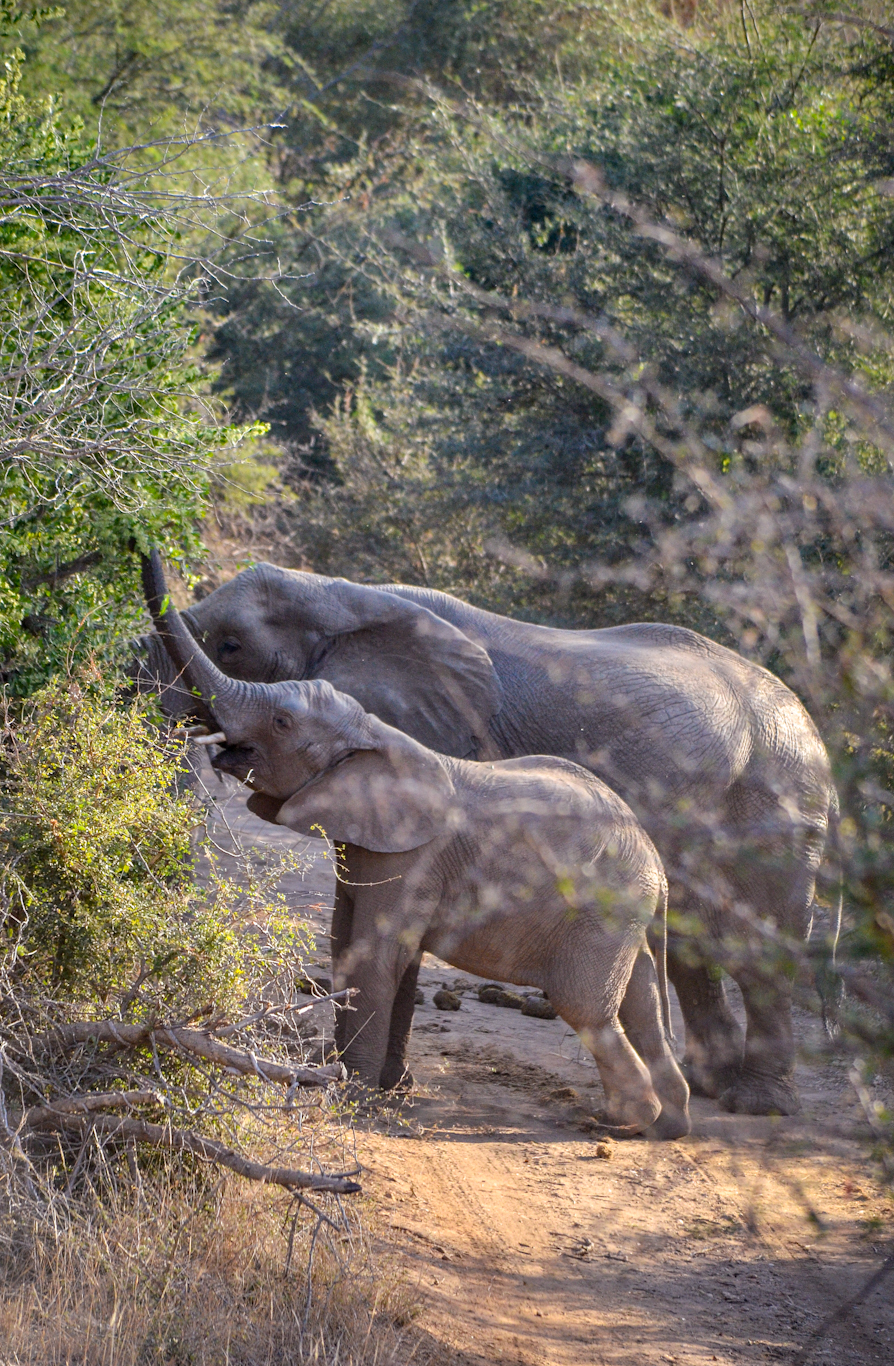 Emma Borg – South Africa – 2019 (2) | Operation Wallacea