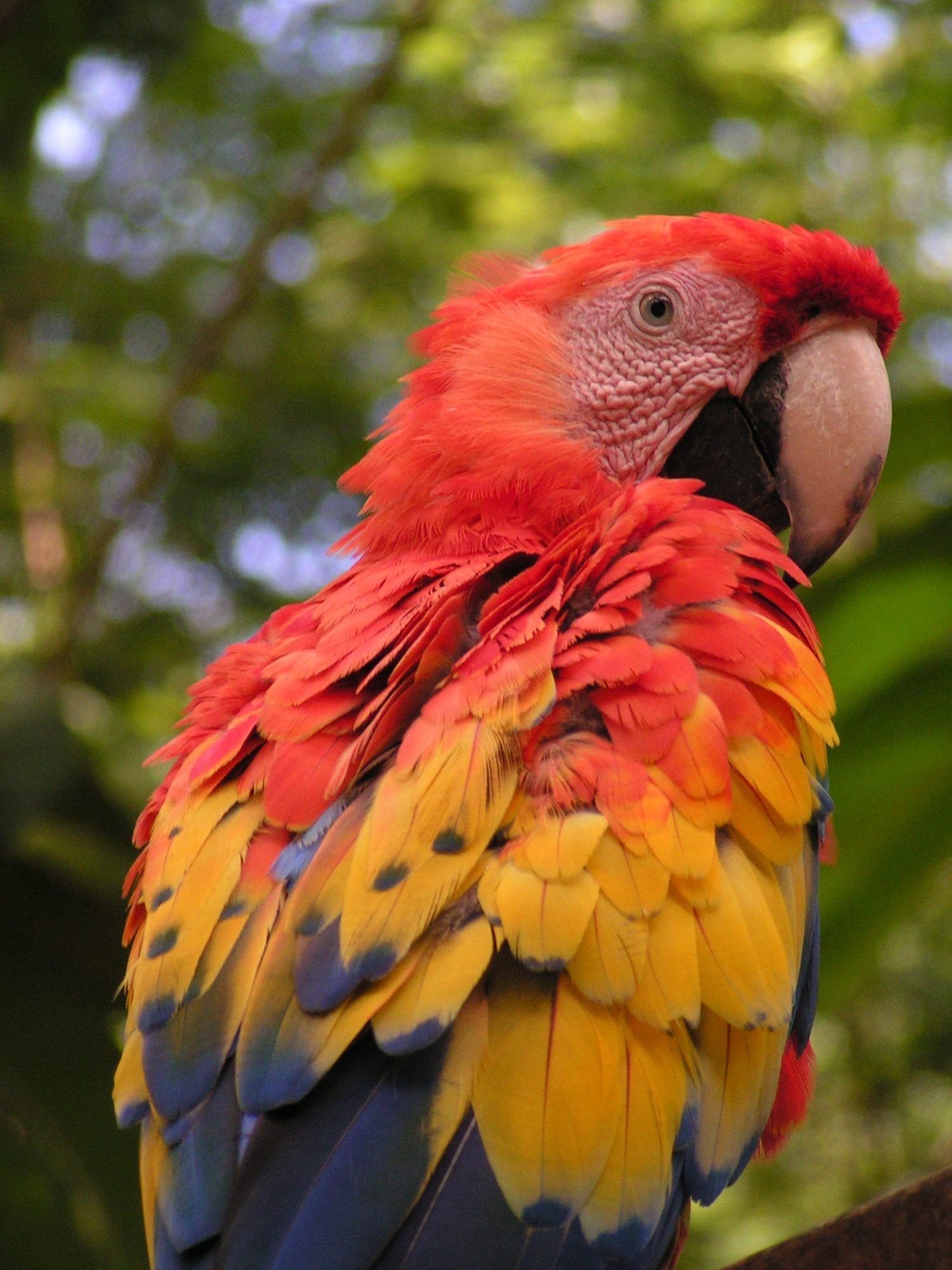 Operation Wallacea | The Expedition Mindset