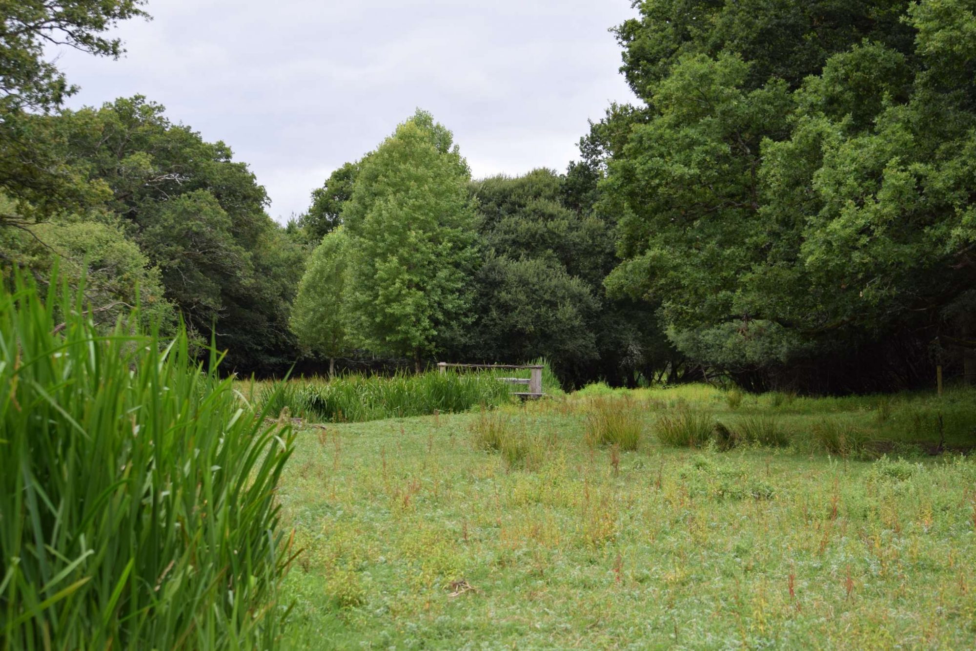 Operation Wallacea | Finding Wild Spaces in the UK