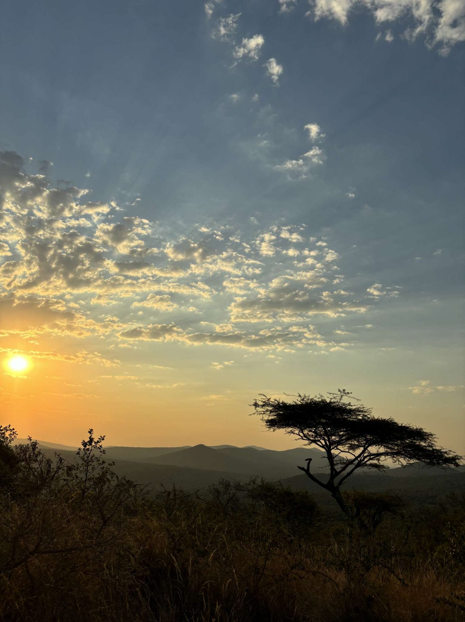 Ella O’Neill – South Africa 2024 #2 | Operation Wallacea