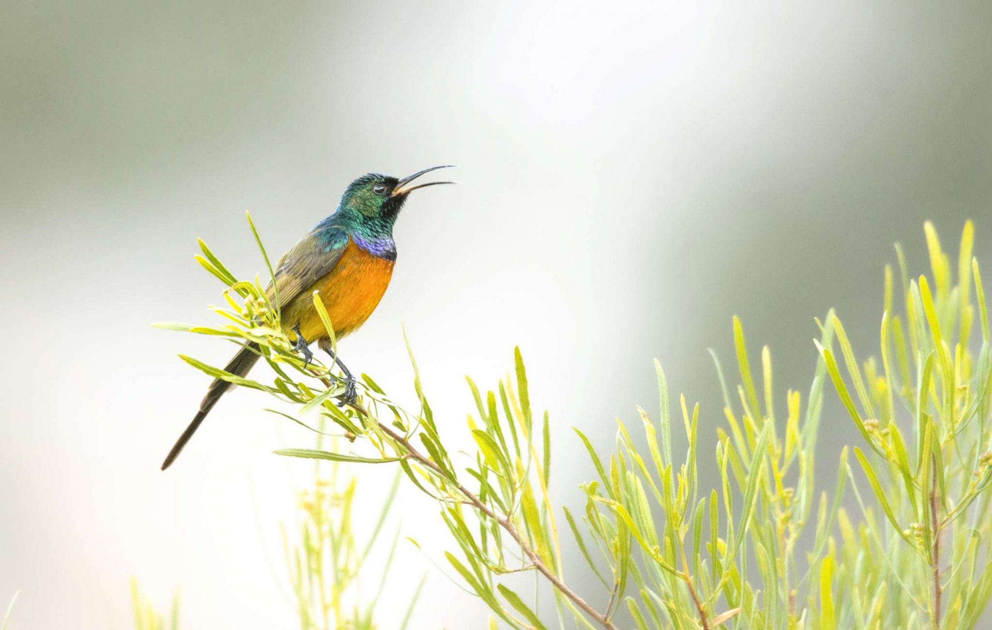 Emma Hulin – South Africa 2024 #1 | Operation Wallacea