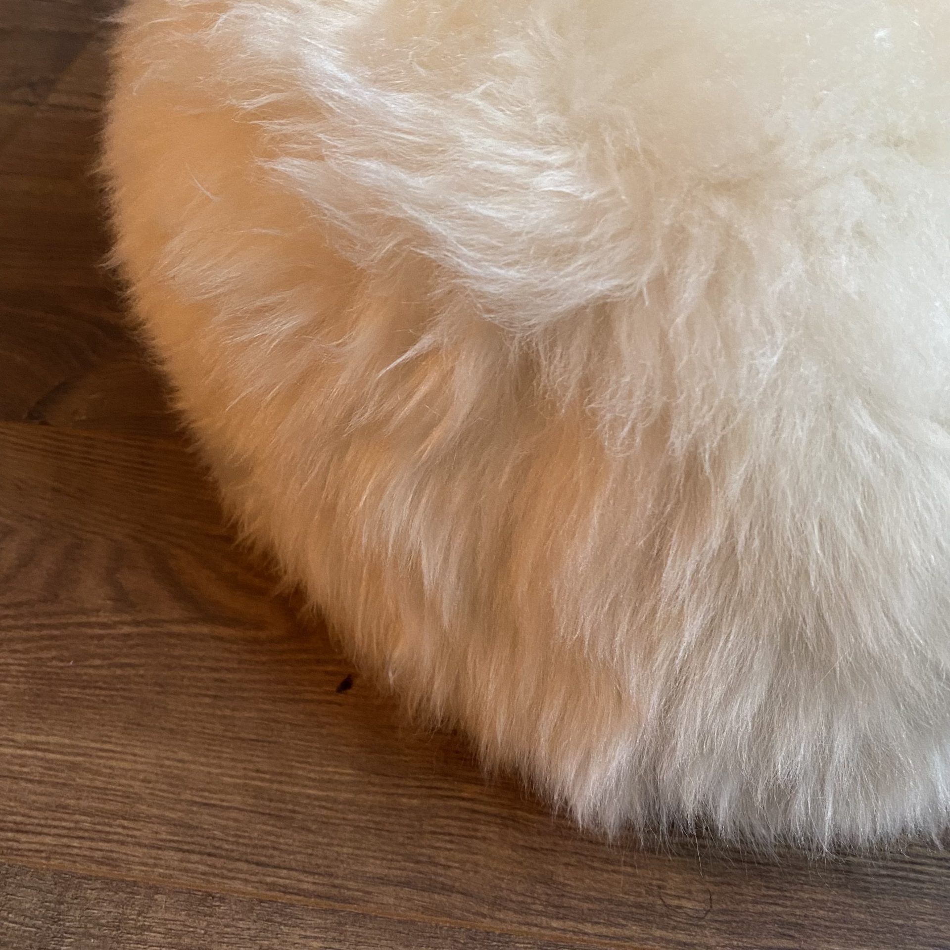 Sheepskin Pouffe – Natural Cream Online Shop | The Wild Shepherdess