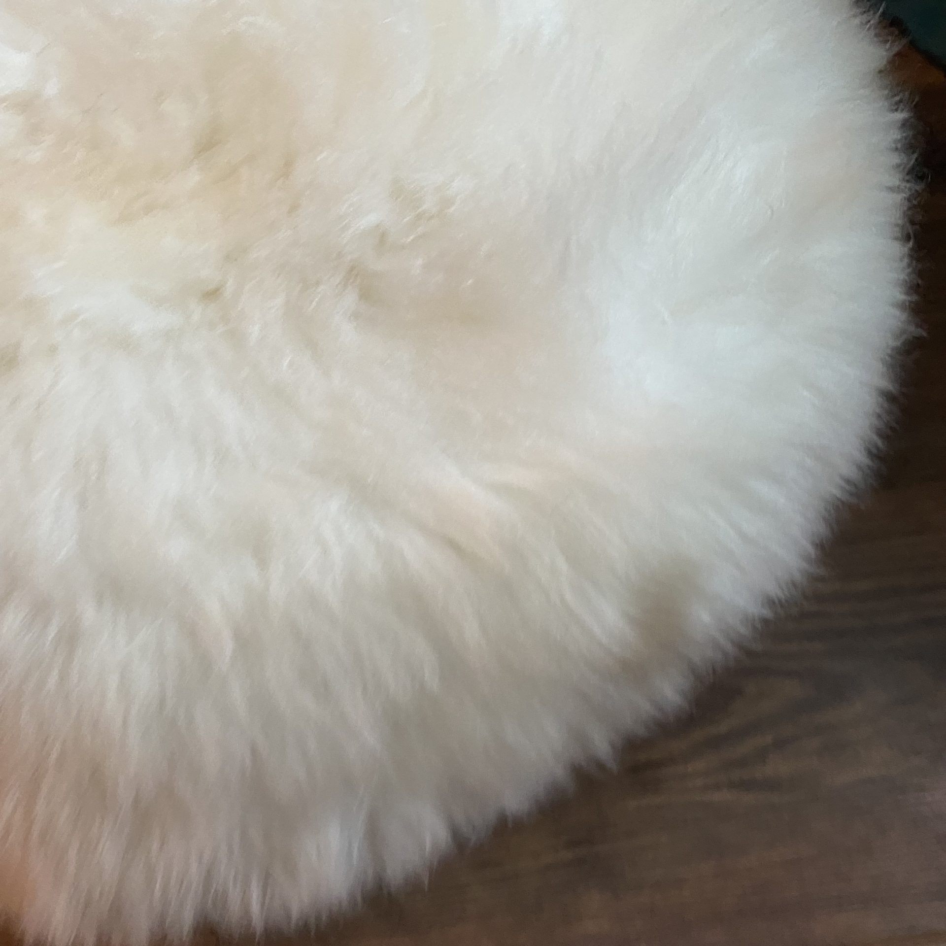 Sheepskin Pouffe – Natural Cream Online Shop | The Wild Shepherdess
